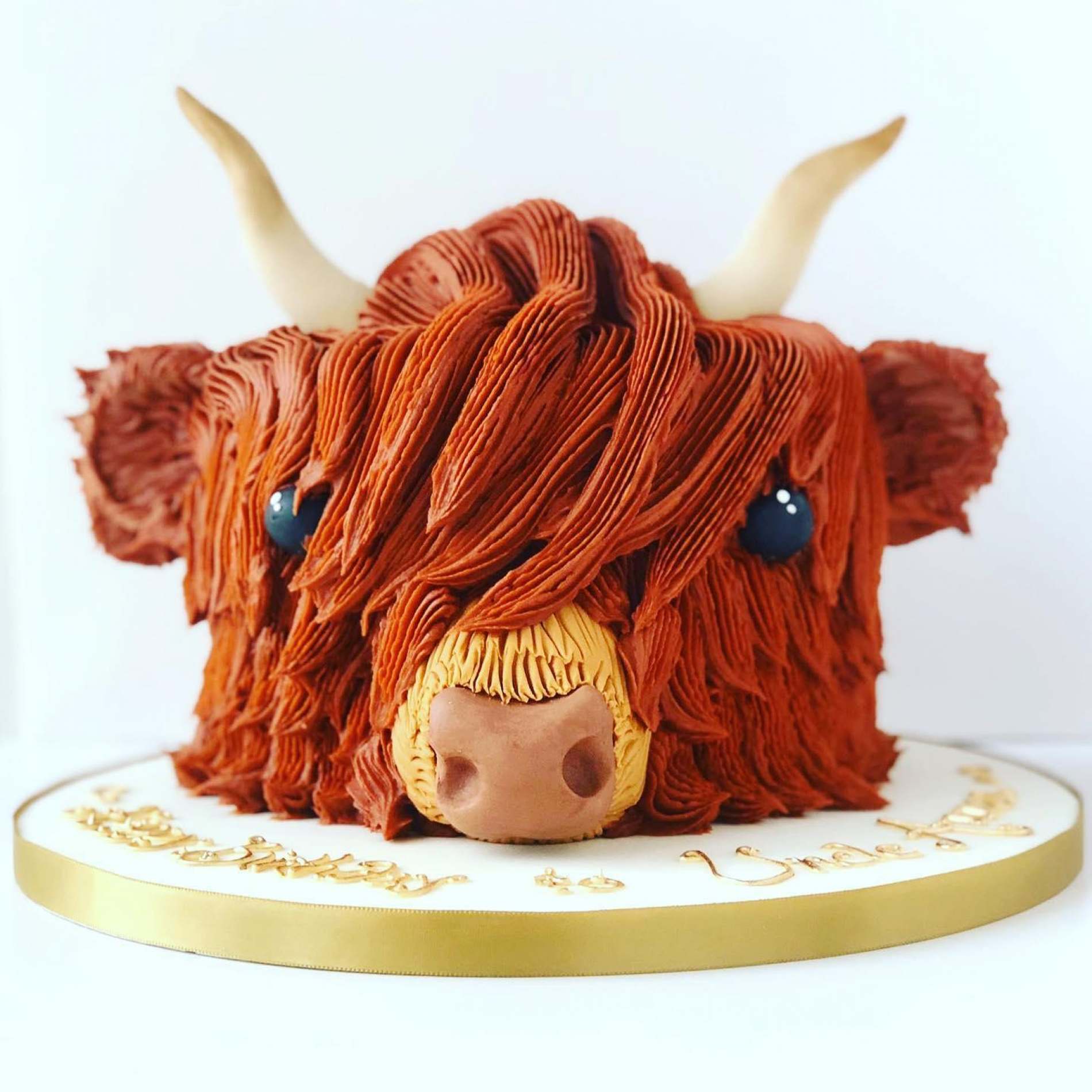Hamish the Highland Coo! | Birthdays