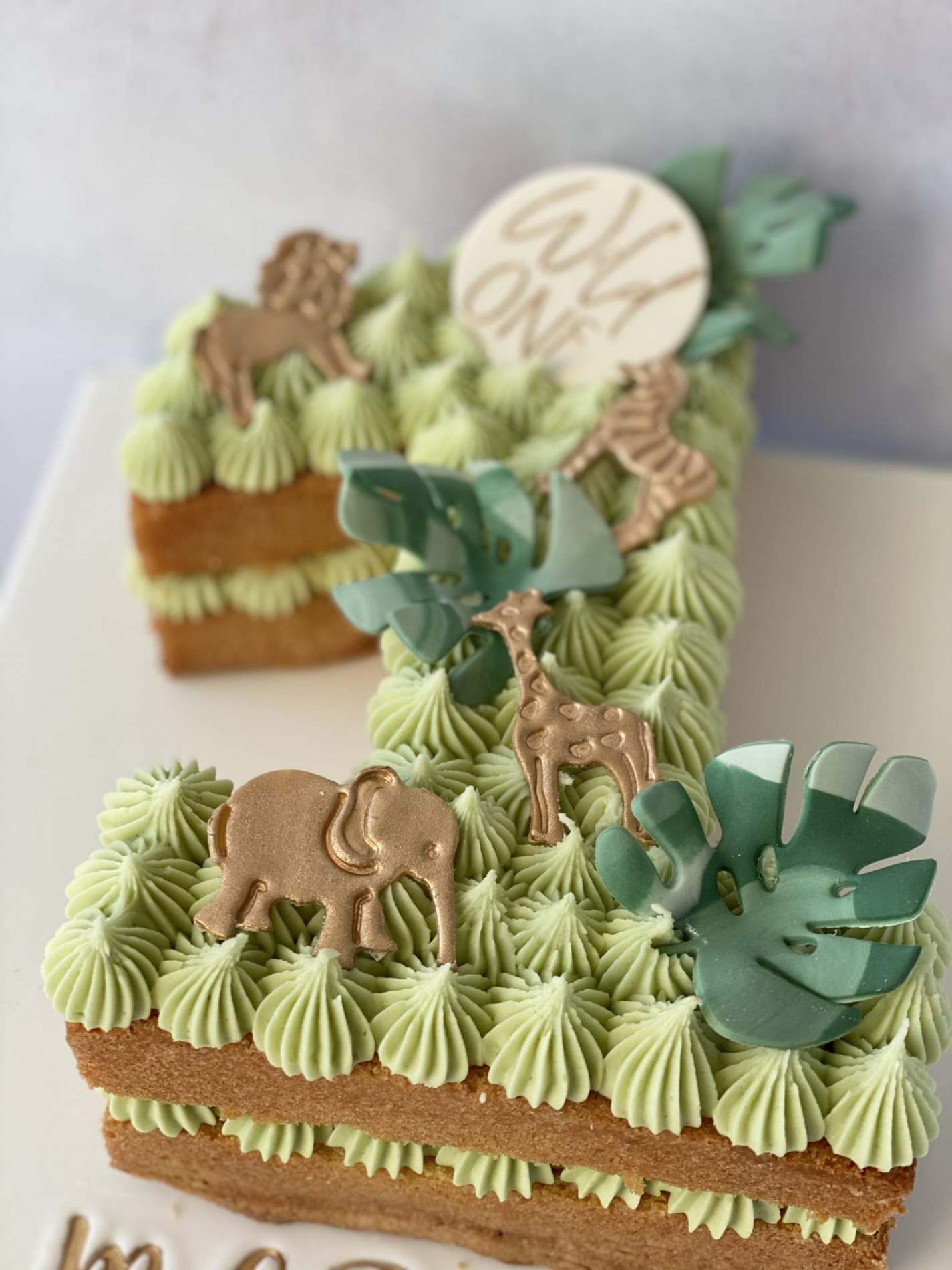 Wild One Number Cake | Birthdays